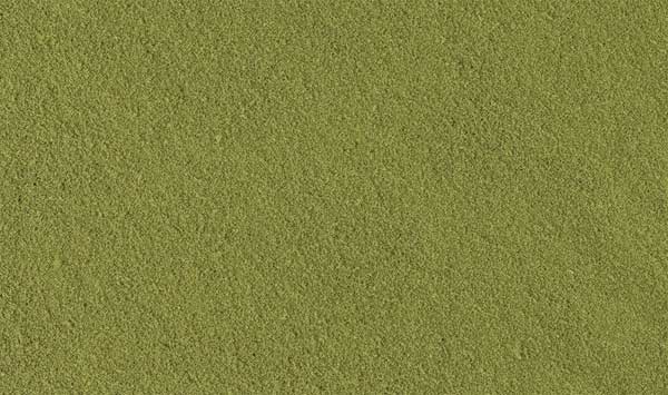 Woodland Scenics Fine Turf, Shaker Bottle, 32 oz, 907g, Burnt Grass, A ...